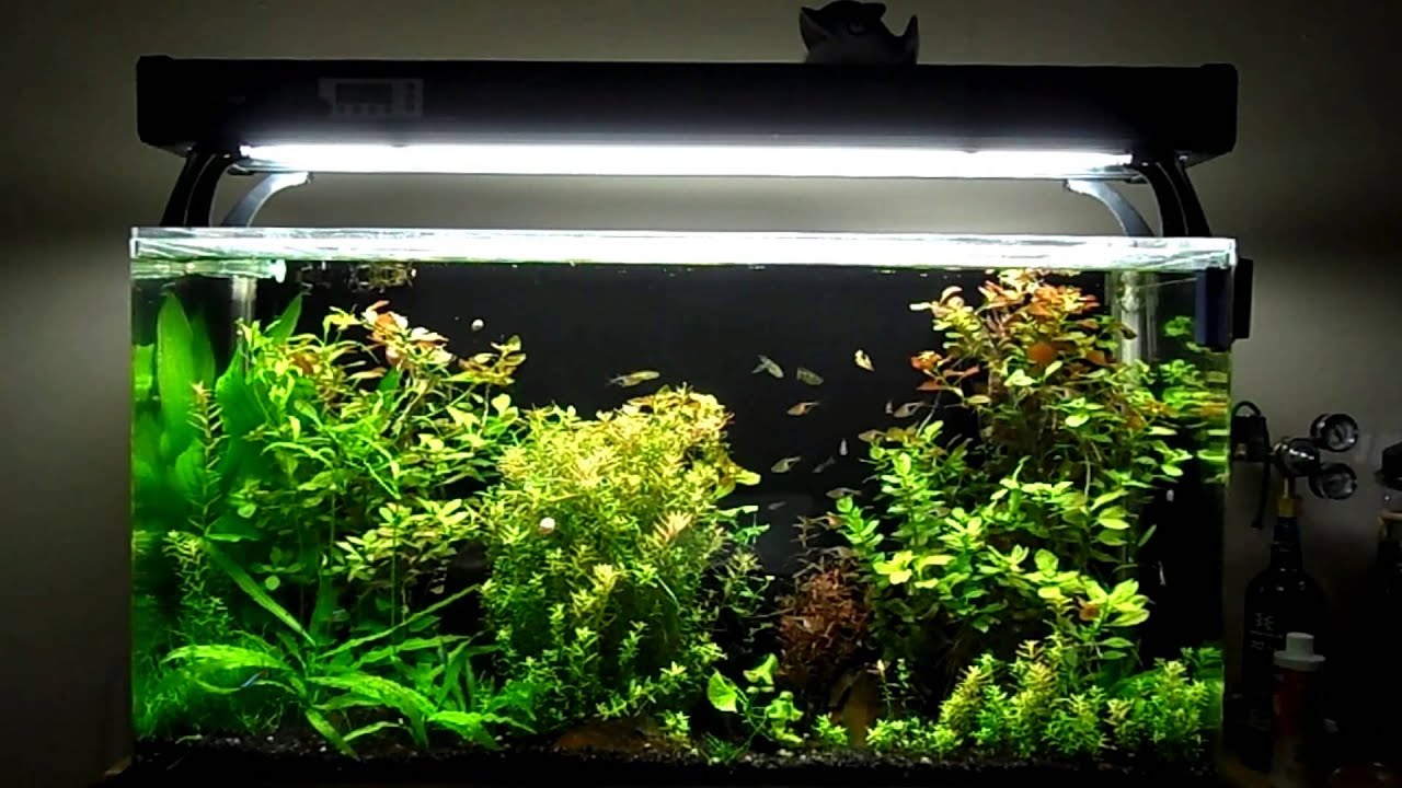 SeaClear System II update 9 - YouTube