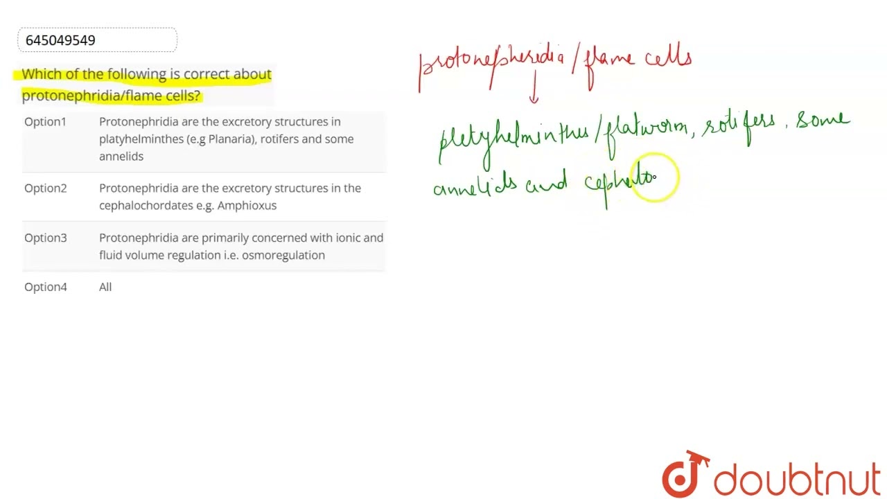 Which of the following is correct about protonephridia/flame cells ...