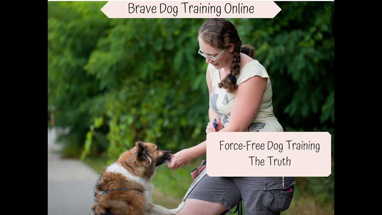The Truth About Positive, Science-Based, Force-Free Dog Training - YouTube