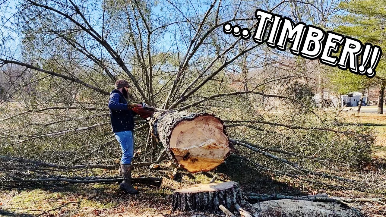 A Day On The Farm - Cutting Trees + Fixing Fence | diamondcfarms - YouTube