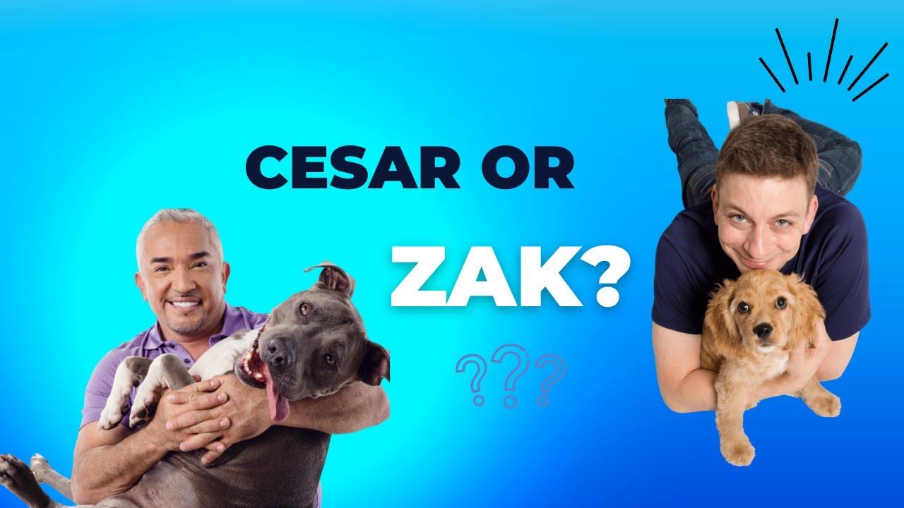 Cesar Millan or Zak George?? 🐕 #dogtraining - YouTube