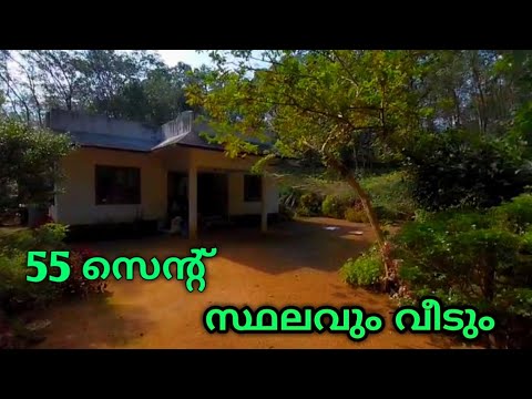 ആദായമുള്ള 55 cent സ്ഥലവും വീടും വിൽപ്പനക്ക് - YouTube