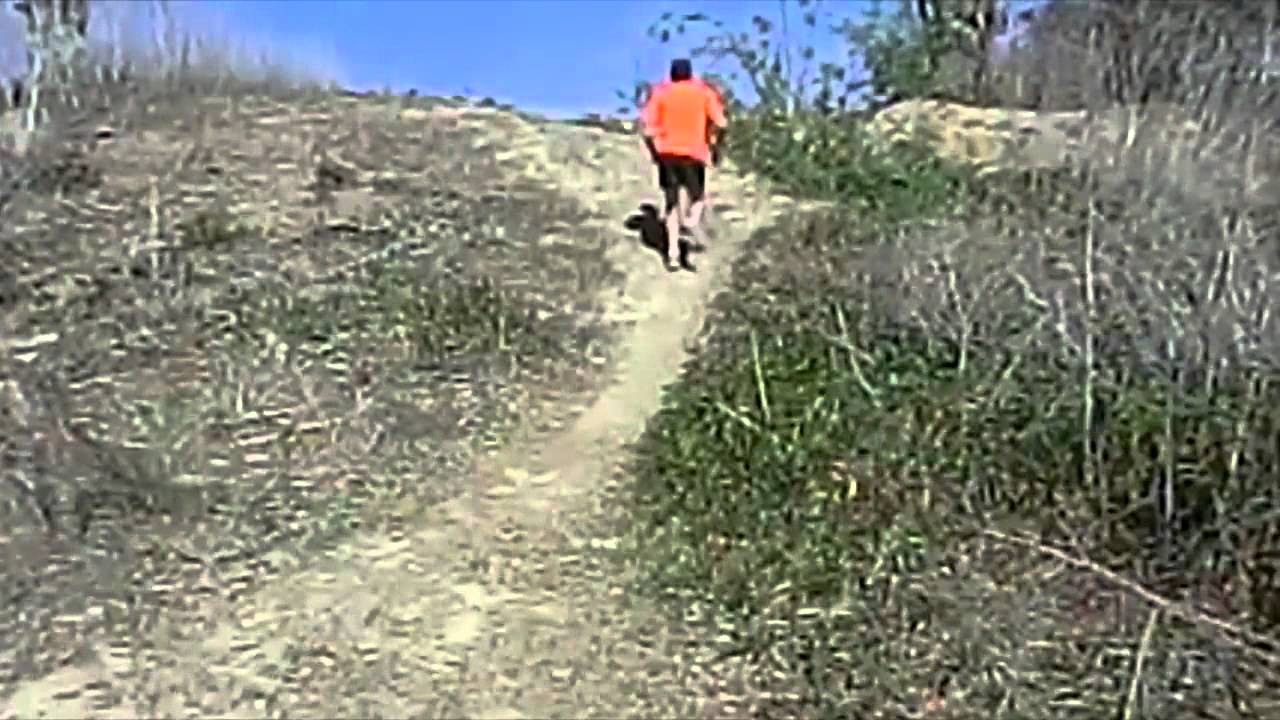 2013-03-02 Regular Run - YouTube