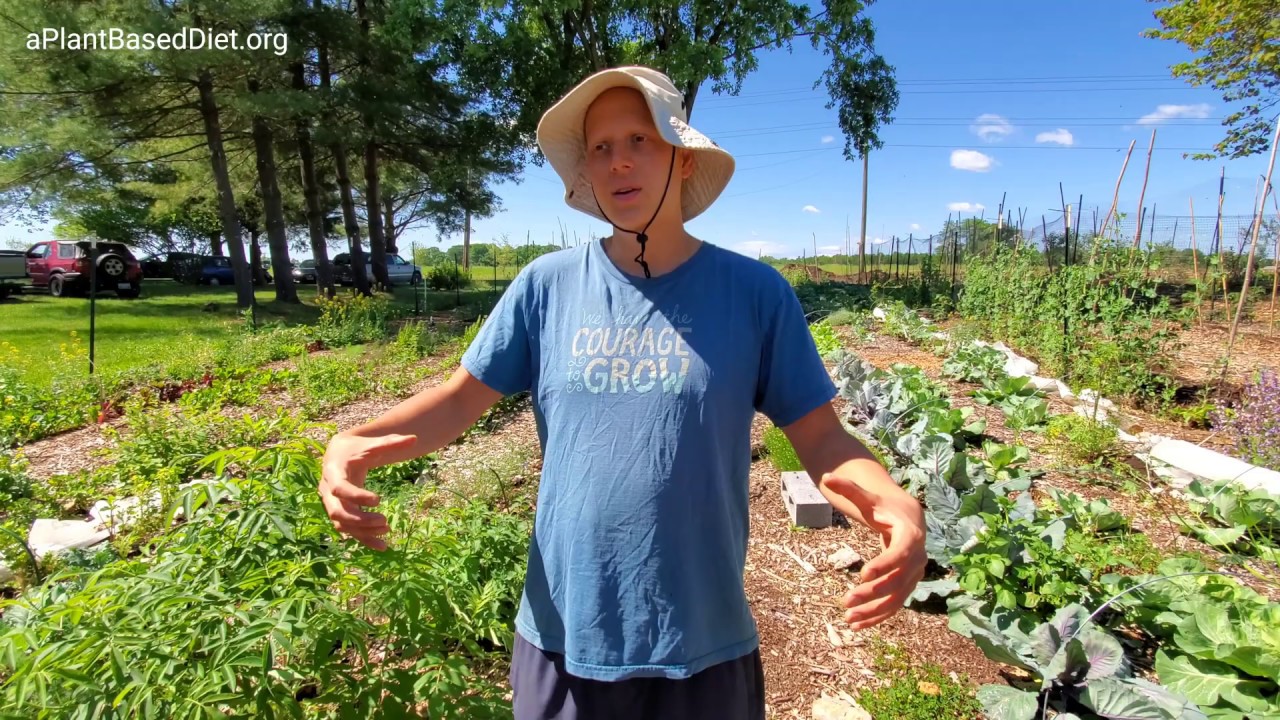 Planetary Farms in Loudoun County | Ecoganic Produce FARM TOUR in 4K ...