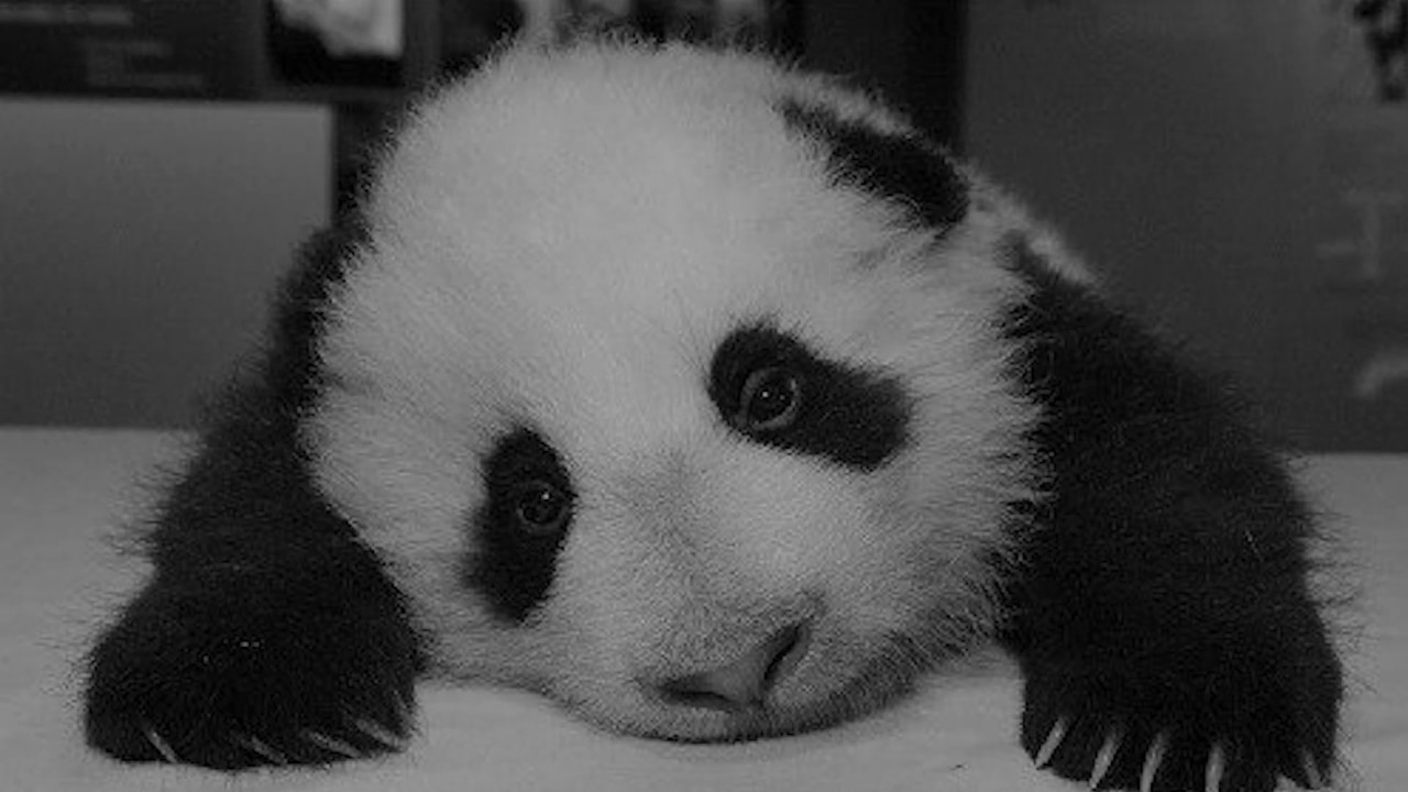 Biwee - Life Is Inherent Suffering... - YouTube