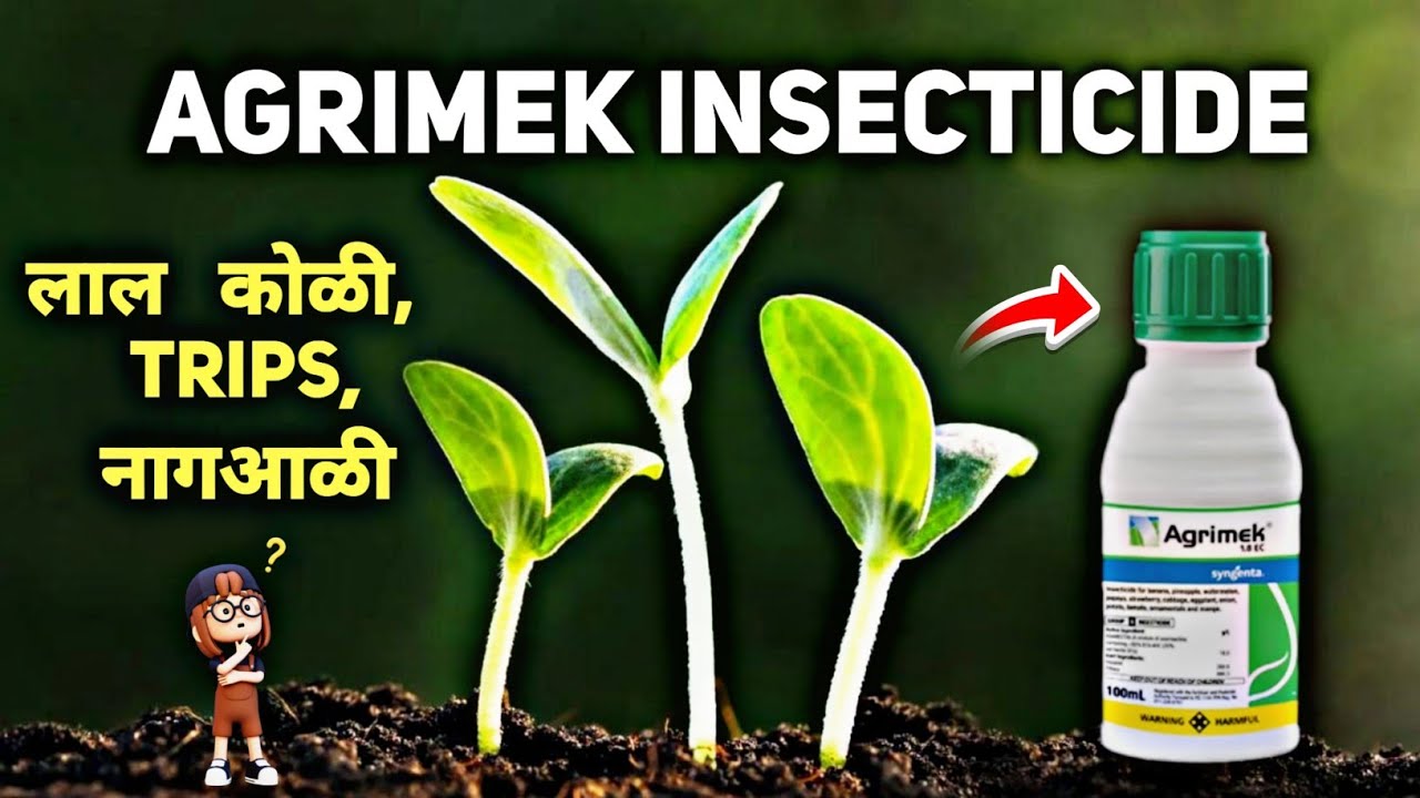 Agrimek Insecticide Full Review | फायदे, डोस आणि वापराची पद्धत | Ratan ...