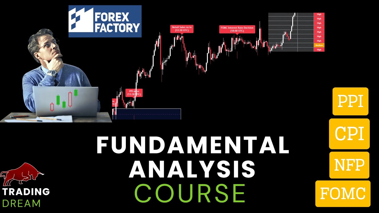 Fundamental Analysis Course || Indicators Of The Economic Stability ...