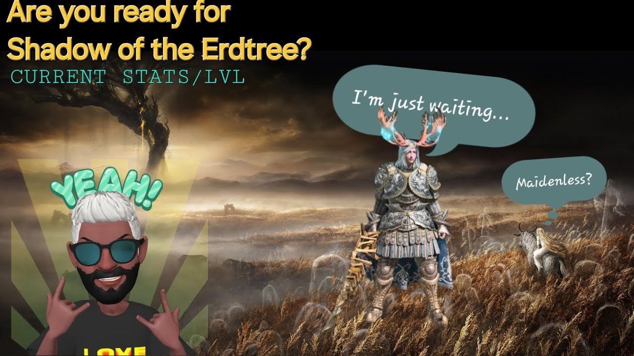 Tarnished level over 500! - YouTube