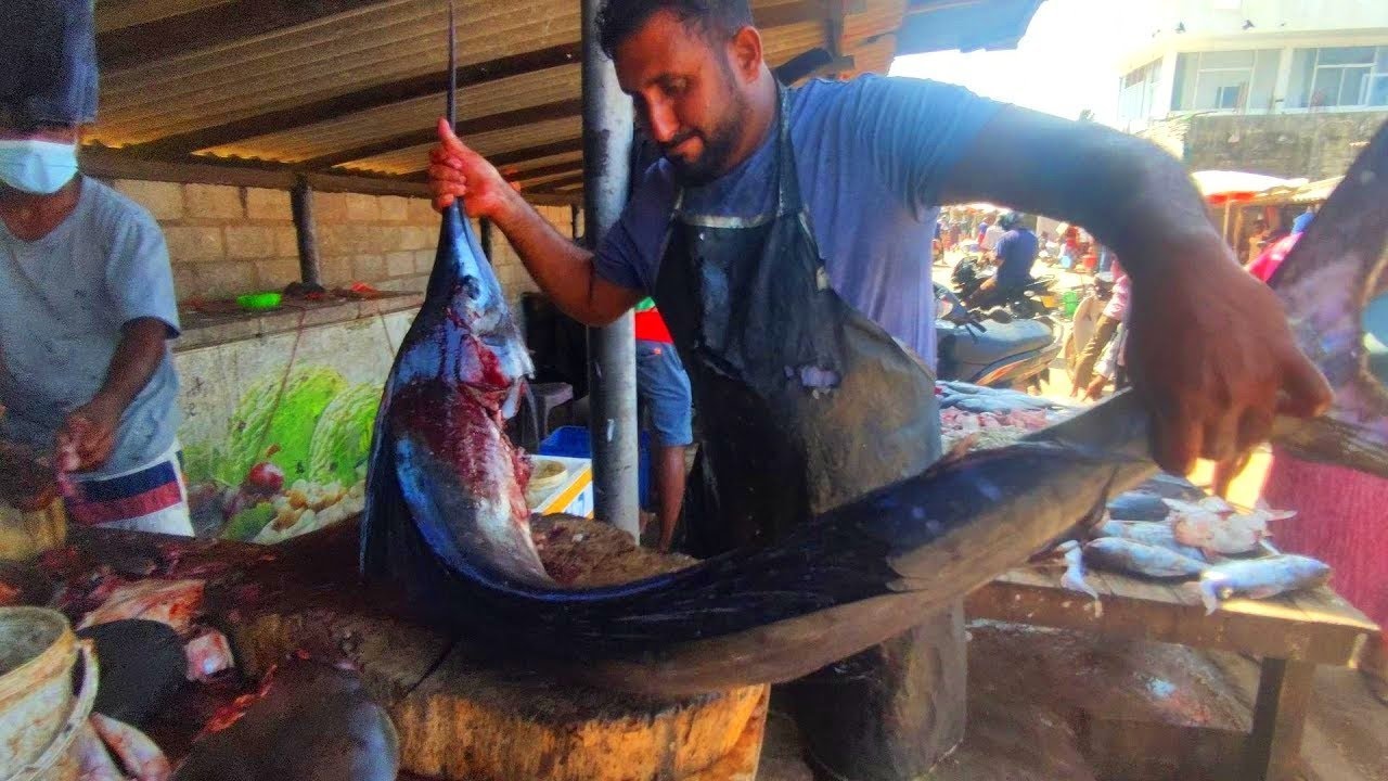 Amazing!! Shark and Sailfish Cutting Skills At The Quaint Village ...