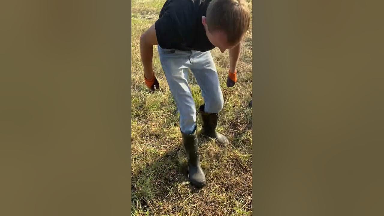 Тест нокта макро легенд на чешую 20см - YouTube