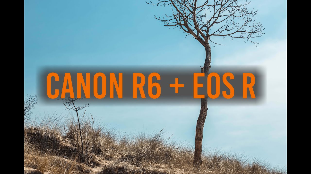 Snapshot of Nature 3 | Canon R6 + Canon EOS R | Hiking + Nature ...