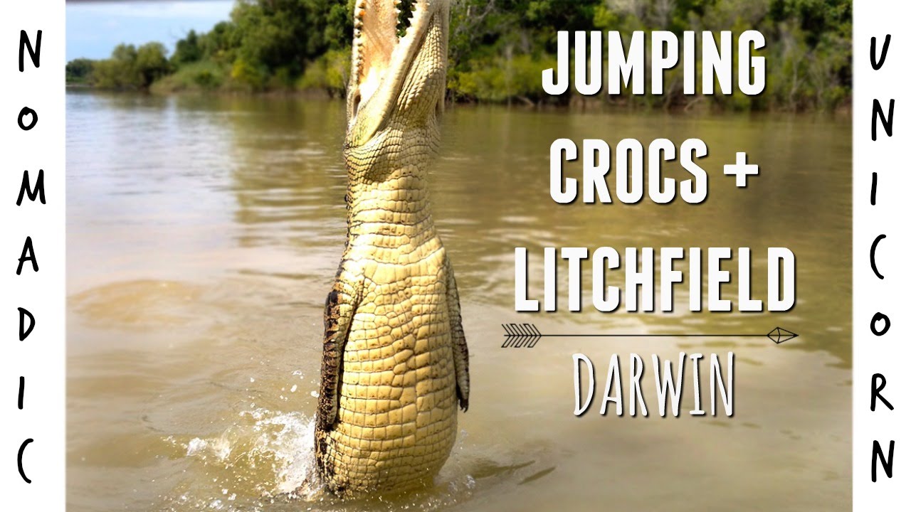 Jumping Crocs & Litchfield National Park- Darwin - YouTube