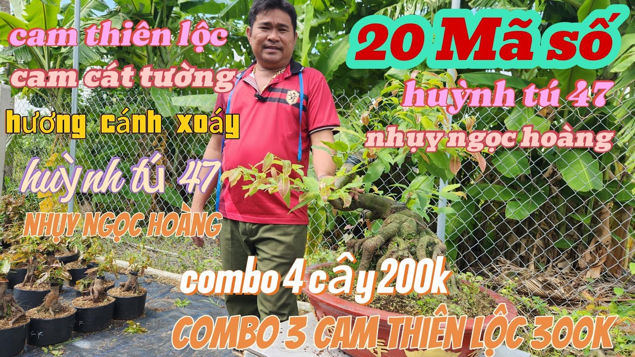 21/06 Việt☎️0335218432🎄20 Mã số Huỳnh Tú 47 và Nhụy Ngọc Hoàng🌸Giao lưu ...