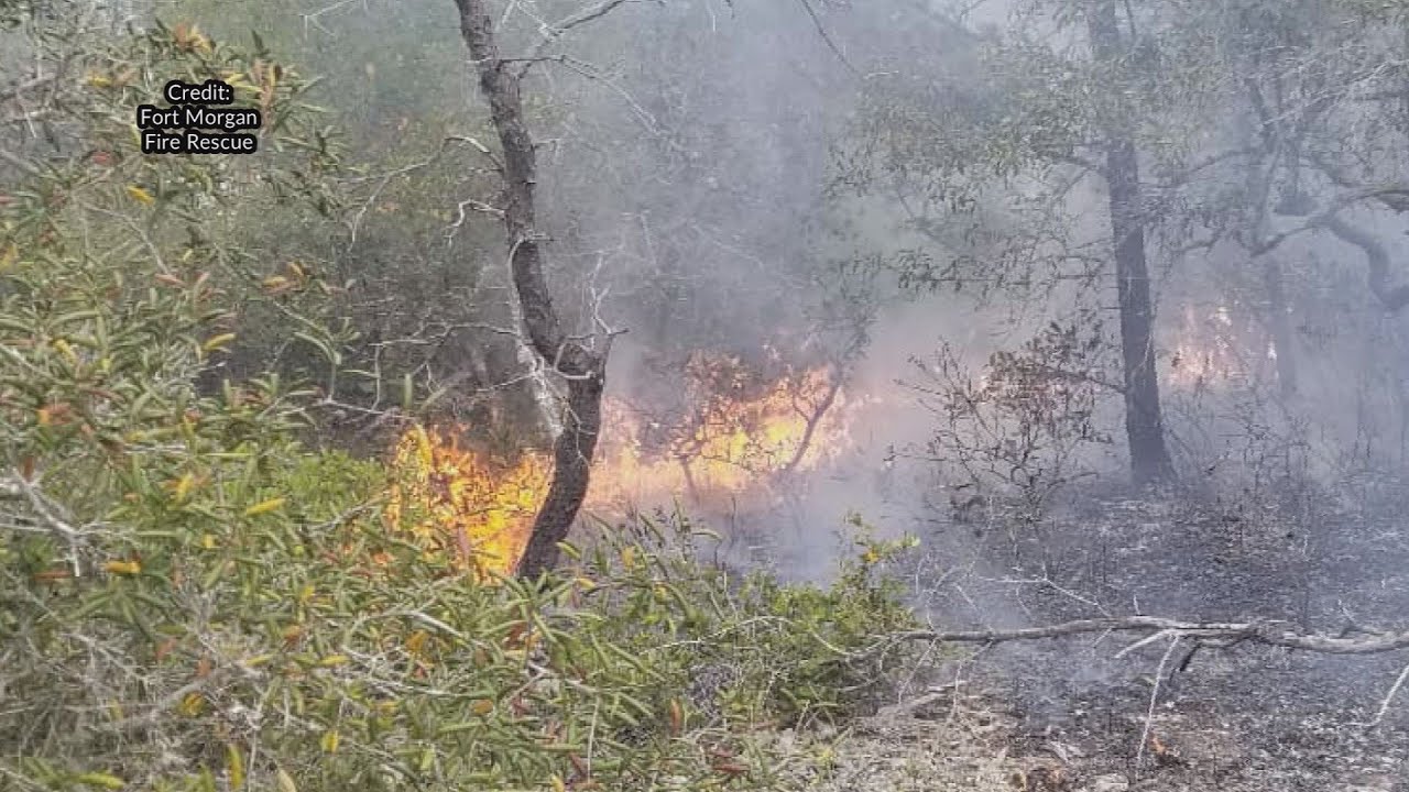 Arson suspected in Fort Morgan fire - YouTube