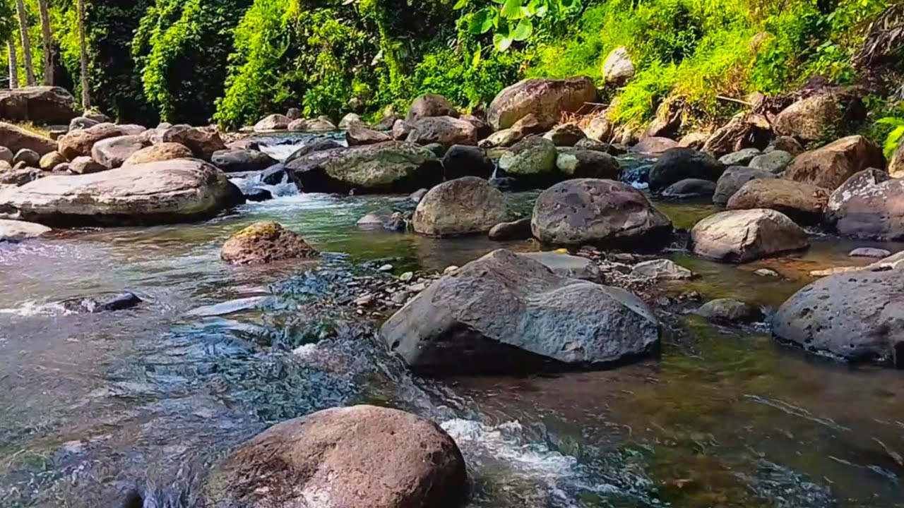 Gentle Trickling Stream with Crystal Clear Water Flowing Over Forest ...