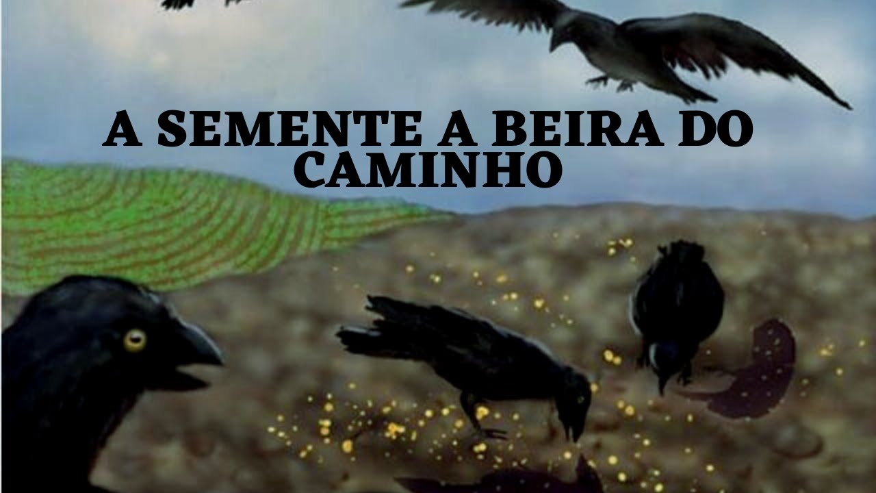 A Semente Que Caiu A Beira Do Caminho Youtube