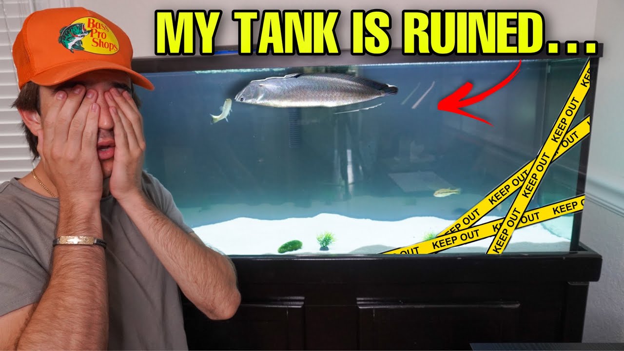 DESTROYING My Brand New Aquarium... - YouTube
