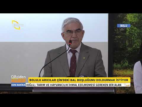 Bolulu arıcılar Çin'deki bal boşluğunu doldurmak istiyor