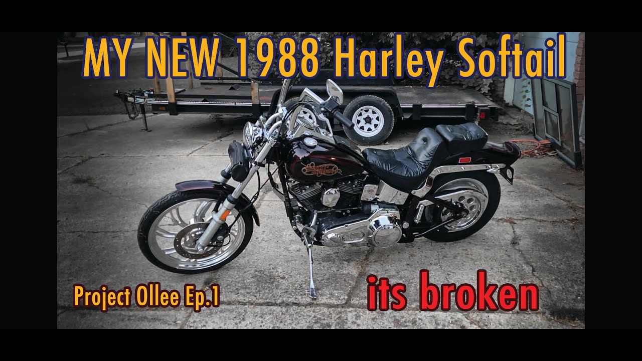 I bought a broken 1988 Harley Davidson Softail | Project Ollee Ep.1 ...