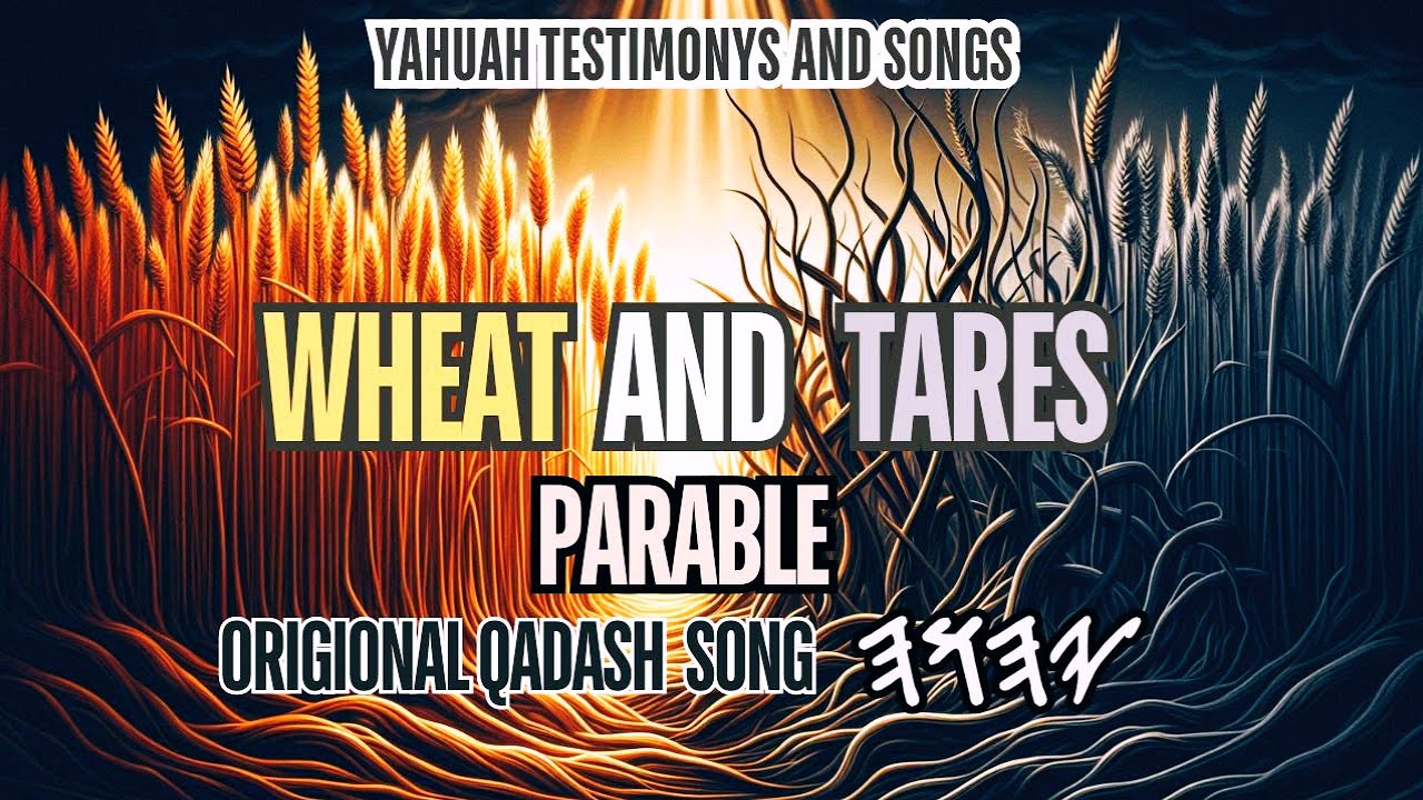 WHEAT AND TARES PARABLE [ORIGIONAL QADASH SONG] - YouTube