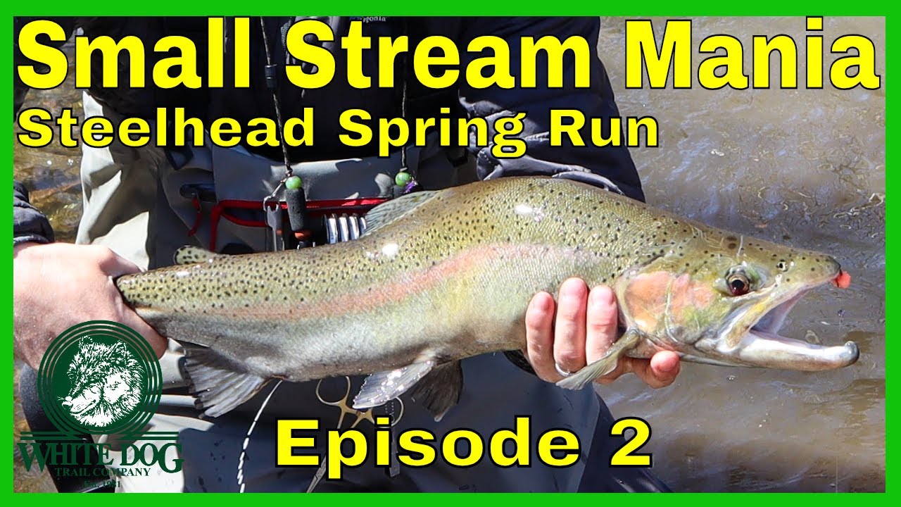 Steelhead Spring Run Episode 2 - Small Stream Mania - Lake Ontario ...