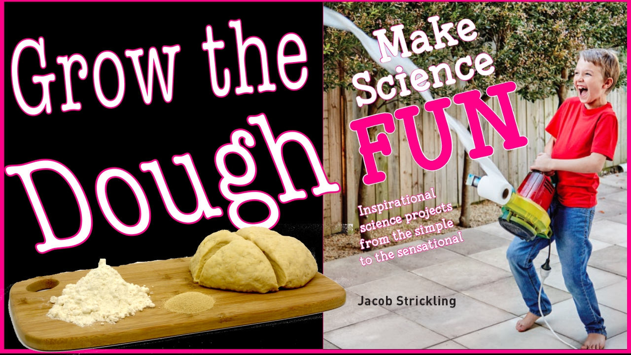 8. Grow the Dough | Make Science Fun the Book - YouTube