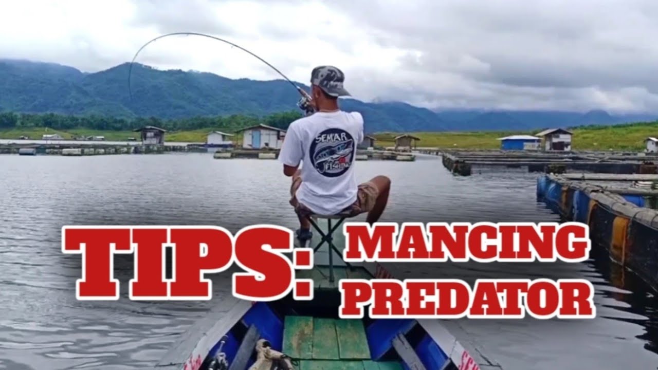 CARA PANCING AMARAH IKAN SEBARAU | CASTING HAMPALA PAKAI POPPER LURE ...