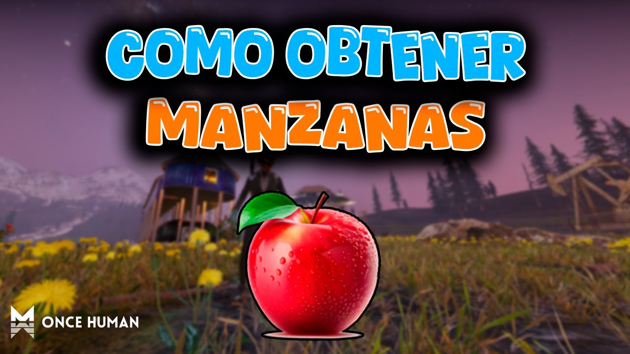 Tipos De Manzanas Tipos De Manzanas Mas Comunes