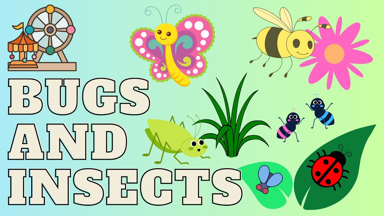 English Vocabulary For Kids | Bugs and Insects | Easy Learning ...