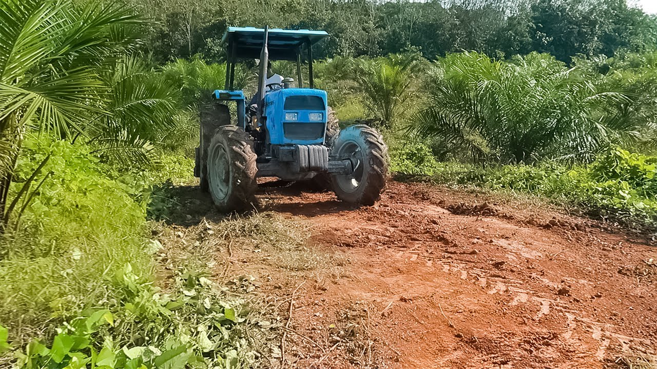 Modified tractor into a bush dozer and leveling palm path - Landini ...