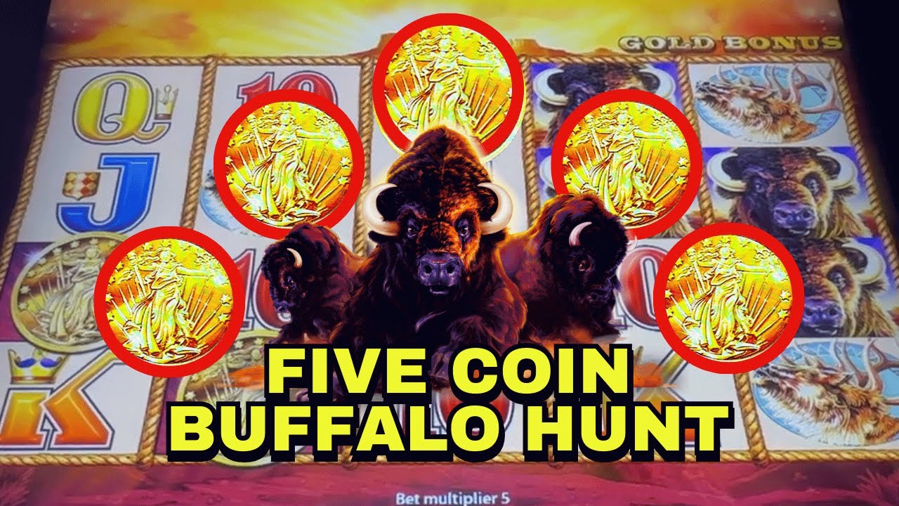 Trying the Ultimate 5 Coin Buffalo Challenge: Is it possible? - YouTube