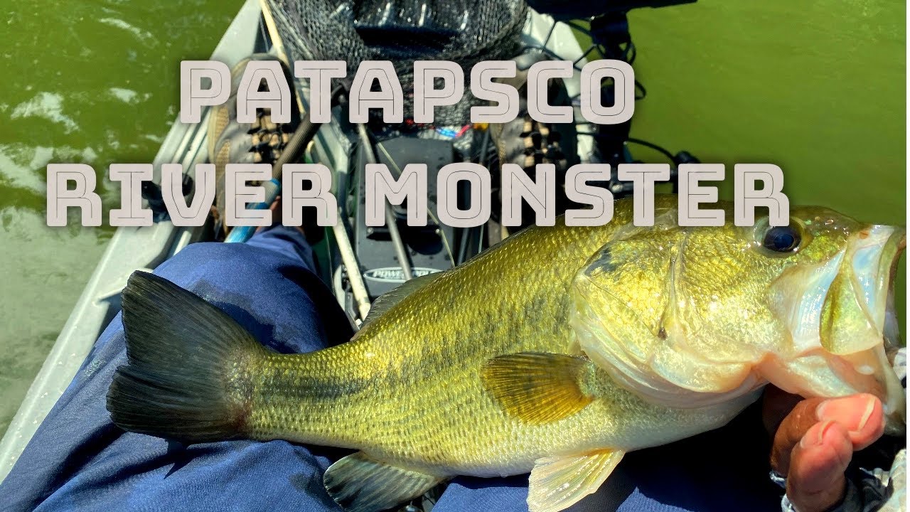 The Patapsco River (Ep154) In Search of Snakeheads and Bass - YouTube