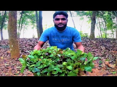 Village Food | Data Shak Recipe | Stem Amaranth/Spinach Cooking in the ...