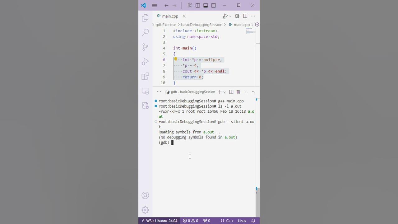 01 Introduction to GDB: Understanding the -g Flag and Debugging Symbols #coding #programming ...