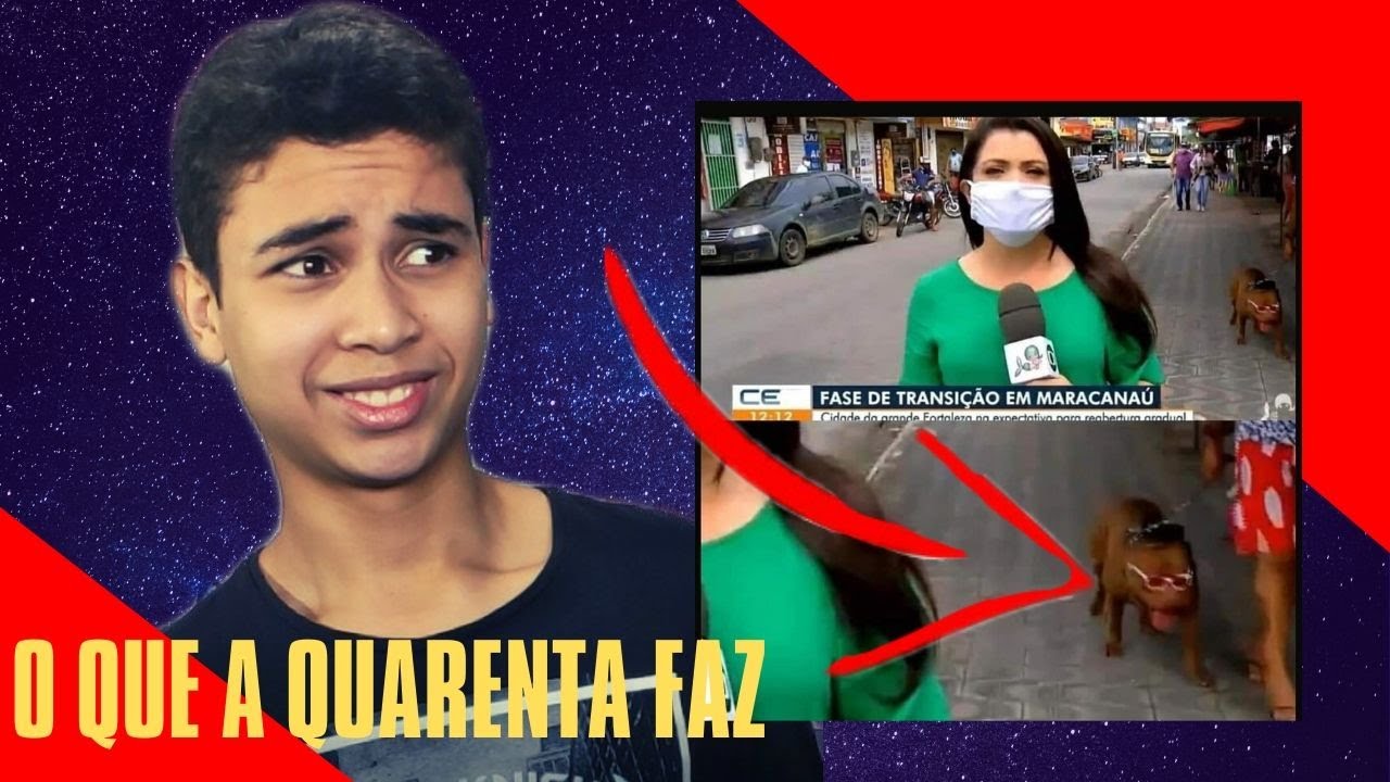 MELHORES MEMES DA QUARENTENA!!! - YouTube