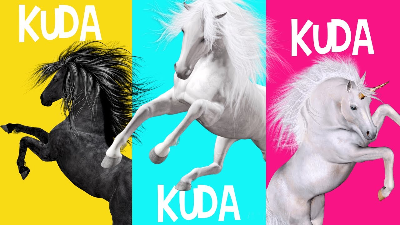 Suara Kuda Meringkik - Suara binatang - Kuda berlari - YouTube