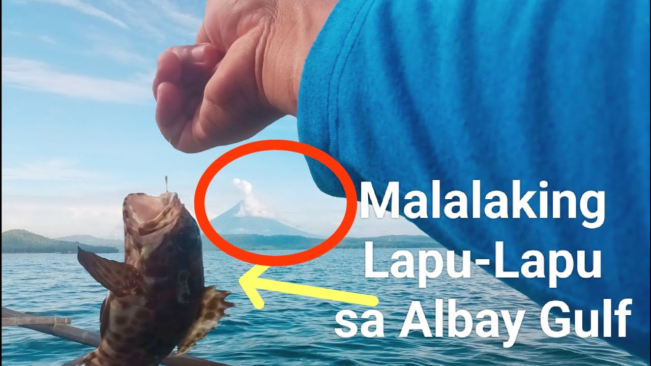 Albay Gulf_Sagana_Pala_sa_Isdang_LAPU-LAPU 4K - YouTube