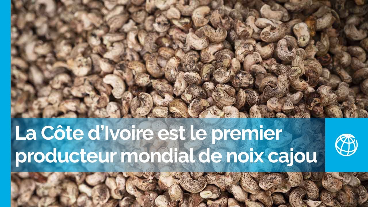 Les Plus Grand Producteur De Film