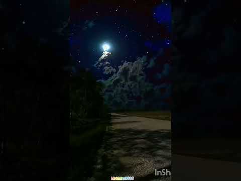 Orunaal paarkuma#love#lovesong#lovestatus#tamilsong#status#youtube#shorts#trending#fyp#hit#hitsong