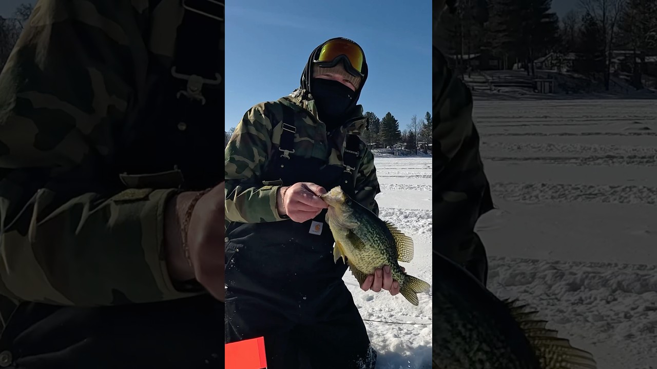 Finicky Fooler Daytime Crappies | Northern Wisconsin Ice Fishing 2025 ...