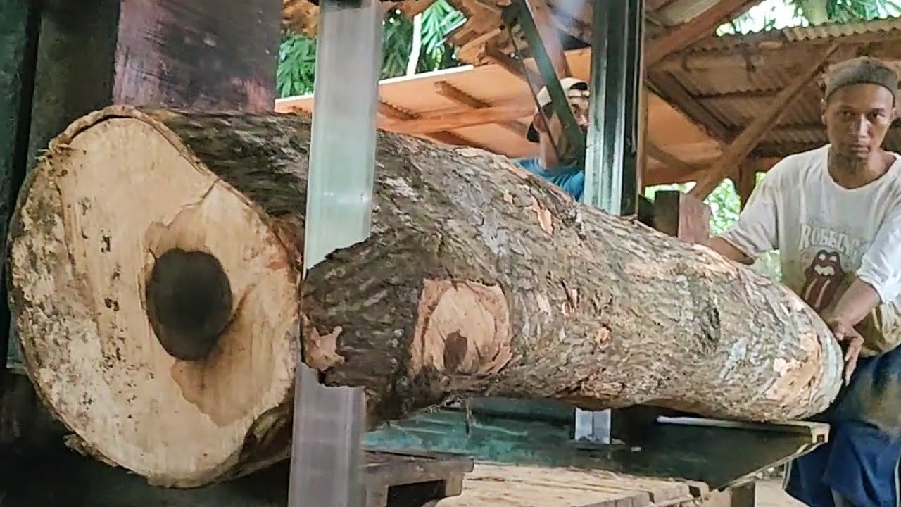 known as super hard wood! the amazing process of sawing in a sawmill ...
