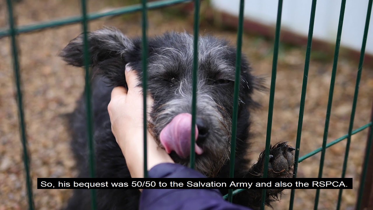 State Trustees Australia Foundation 25th Anniversary - YouTube
