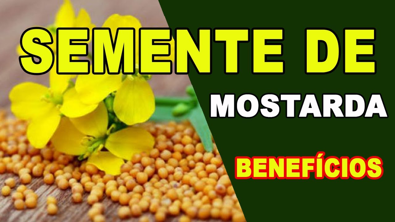 A Semente de Mostarda e seu poder terapêutico! - YouTube