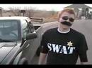 When Animals Attack in High Speed Chases