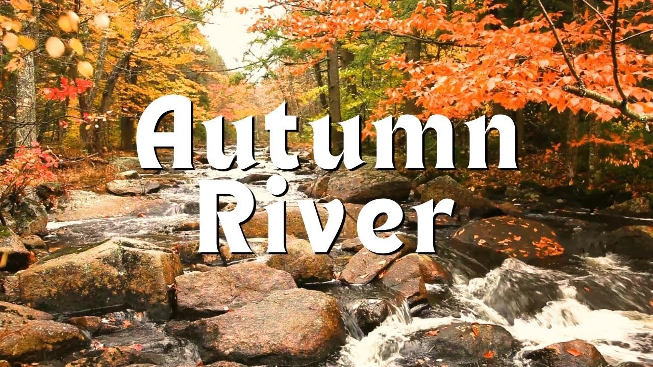 Autumn Beautiful Nature Scenery & Relaxing River Sounds Video - YouTube