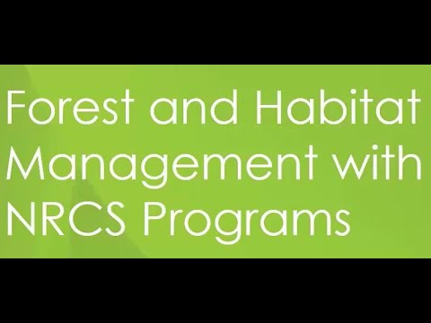 Understanding NRCS (Natural Resource Conservation Service) Programs - YouTube