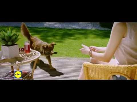 Pentru animalute • din 16 Iulie 2015