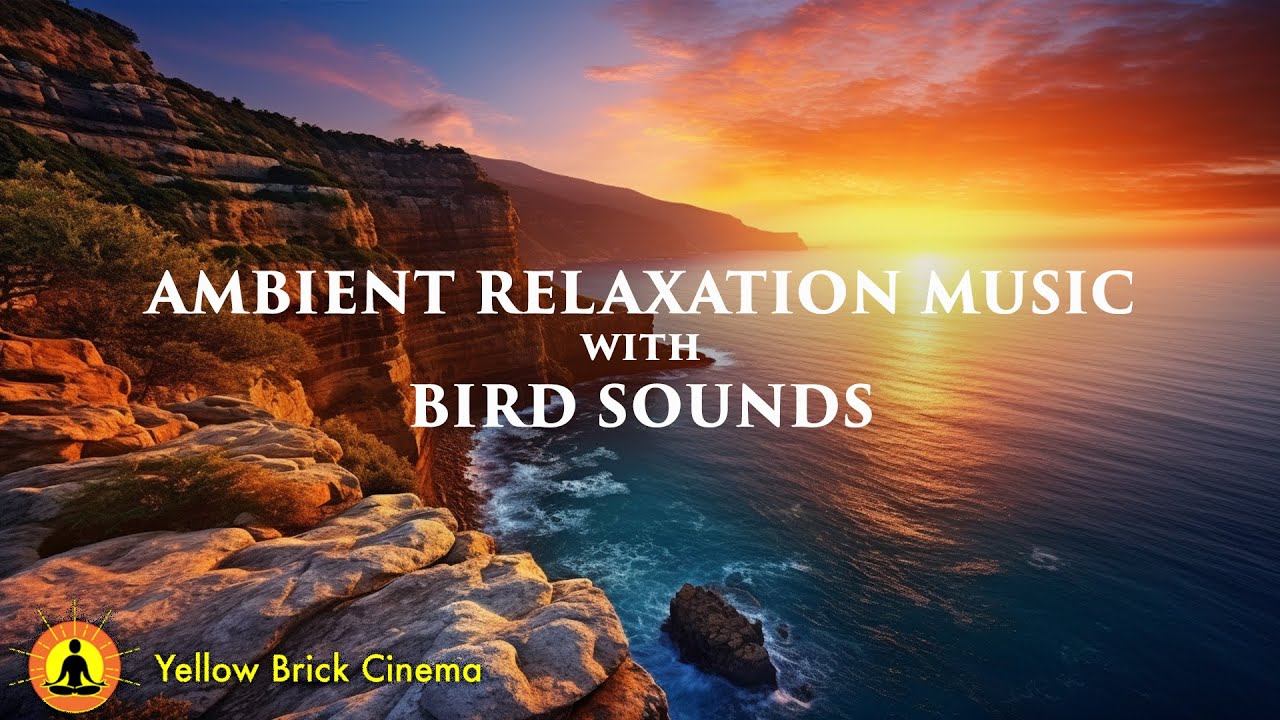 Ambient Music for Relaxation, Stress Relief Music, Silent Relaxing ...