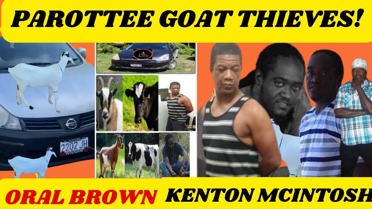 THIEVES, THIEVES, THIEVES DROP THE GOAT KENNY DROP THE GOAT! - YouTube