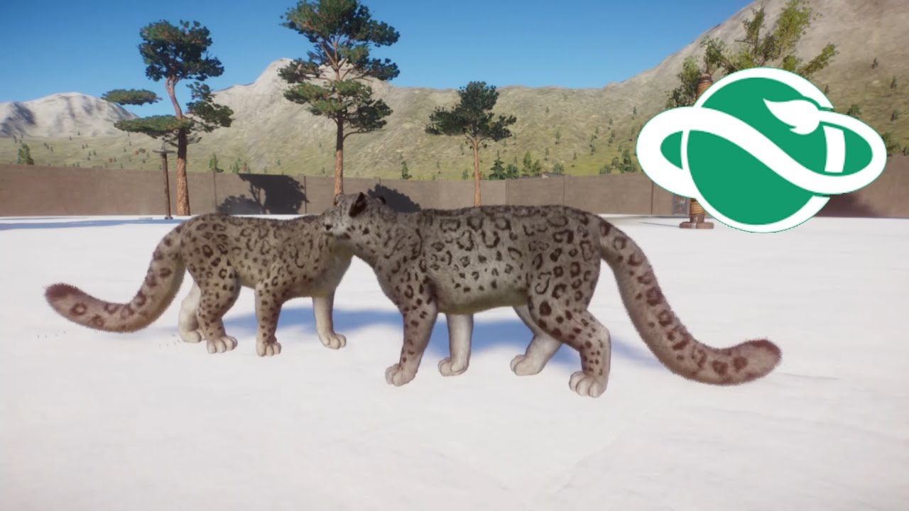 Planet Zoo 6 Minutes Of Snow Leopards HD - YouTube